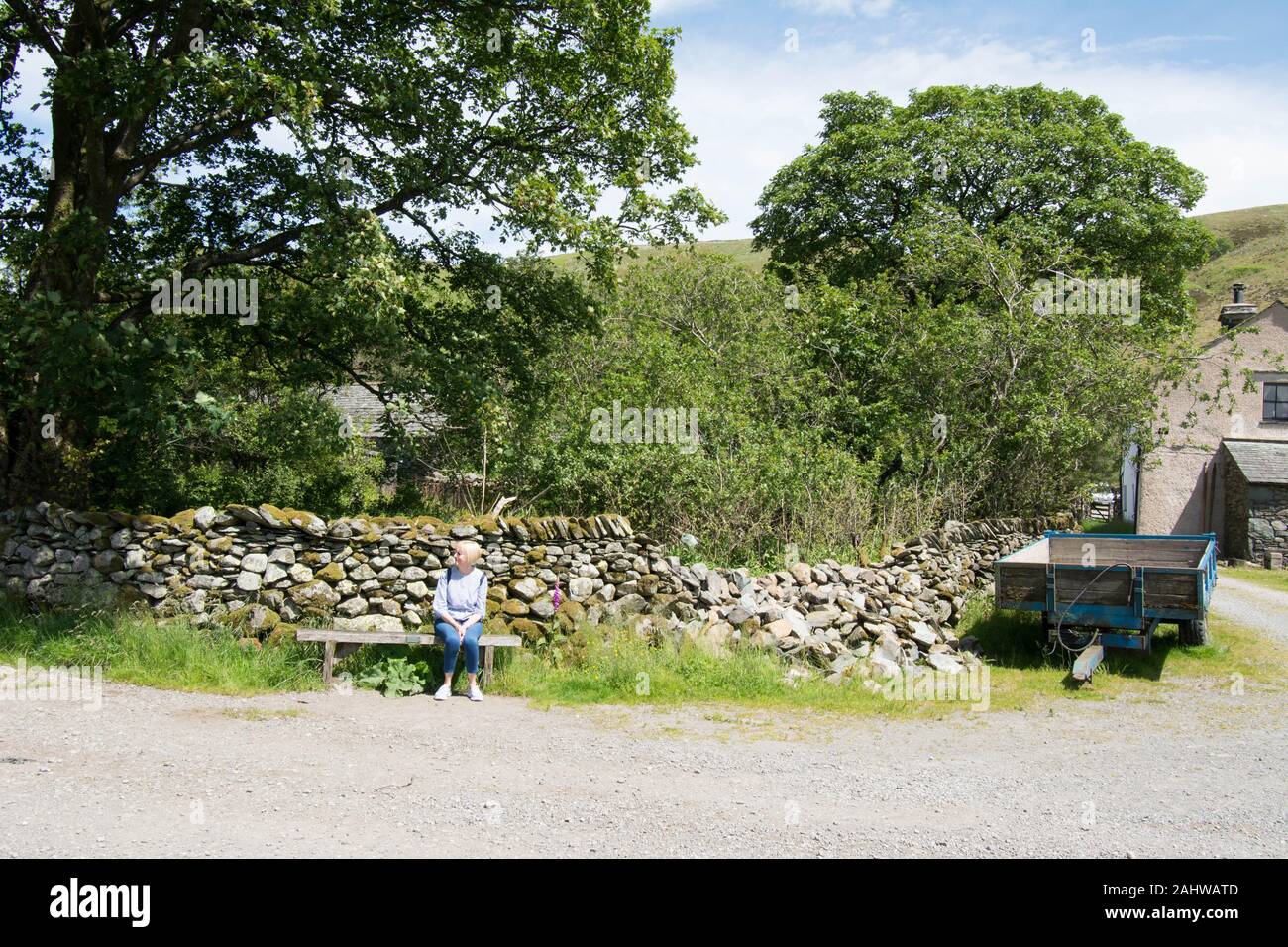 Lake District Cumbria stone wall walker sitting bellow trees trailer ...