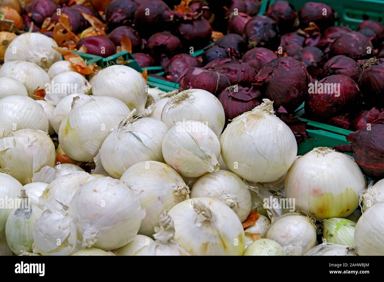 Seasonal vegetables are stacked in boxes at the grocery store. Nearby ...