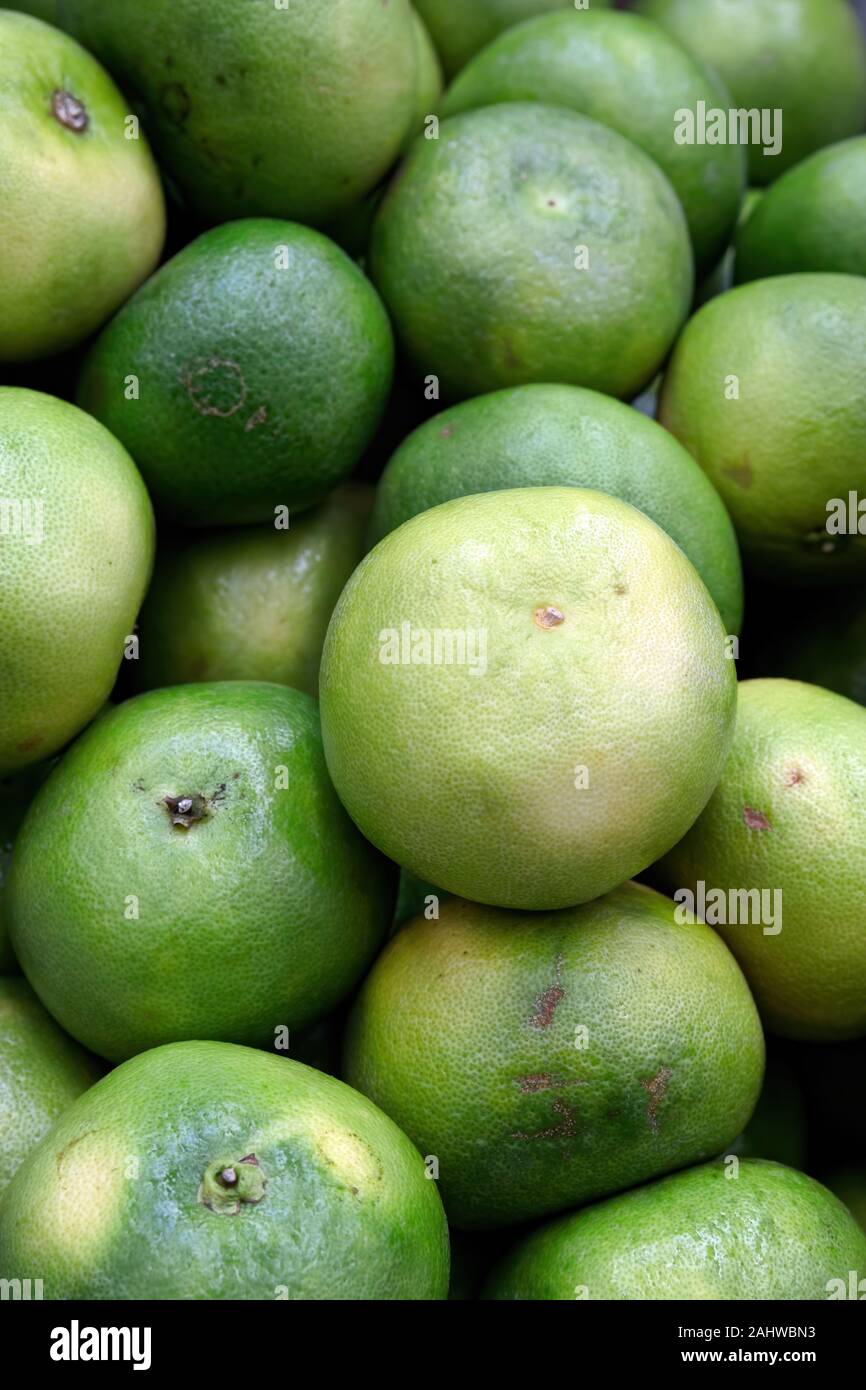 Grapefruit harvest. Background texture. Grapefruit on a grocery store ...