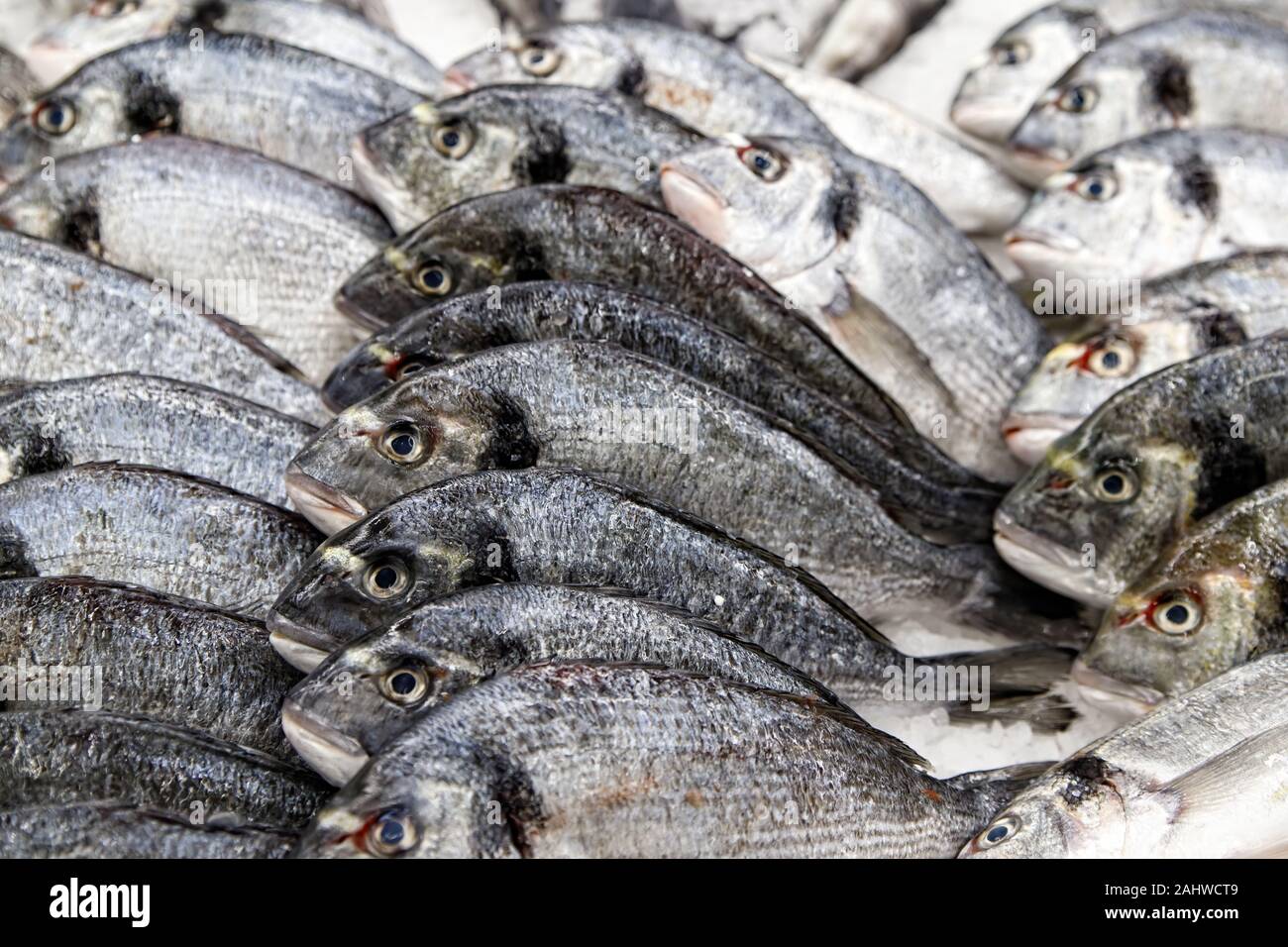 Different types of fresh fish on ice in supermarket, top view. Close up ...