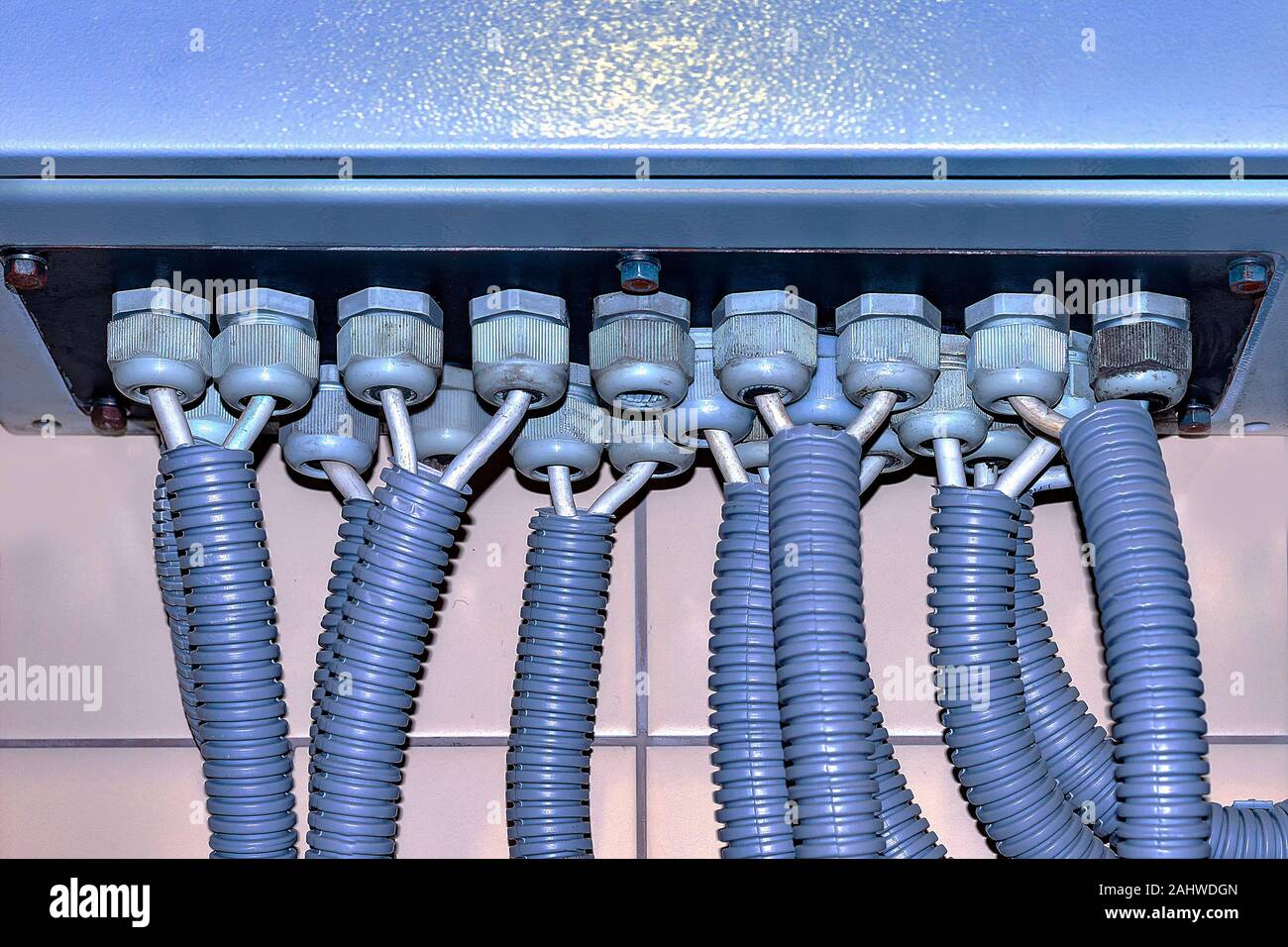 Blue switchboard and branches of electrical wires in the corrugation ...