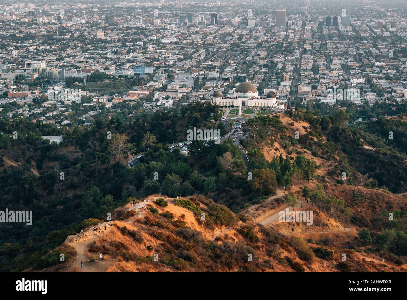 View above Griffith Observatory at sunset, in Griffith Park, Los ...