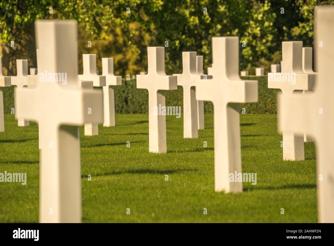 Multiple rows of white crosses in cemetery Stock Photo - Alamy