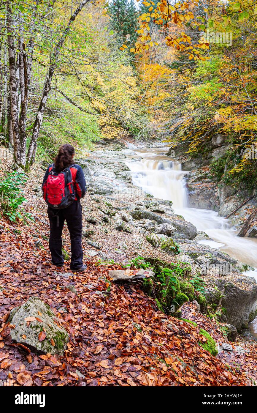 Del Cubo waterfall in Selva de Irati forest near Lodosa, Navarra, Spain ...