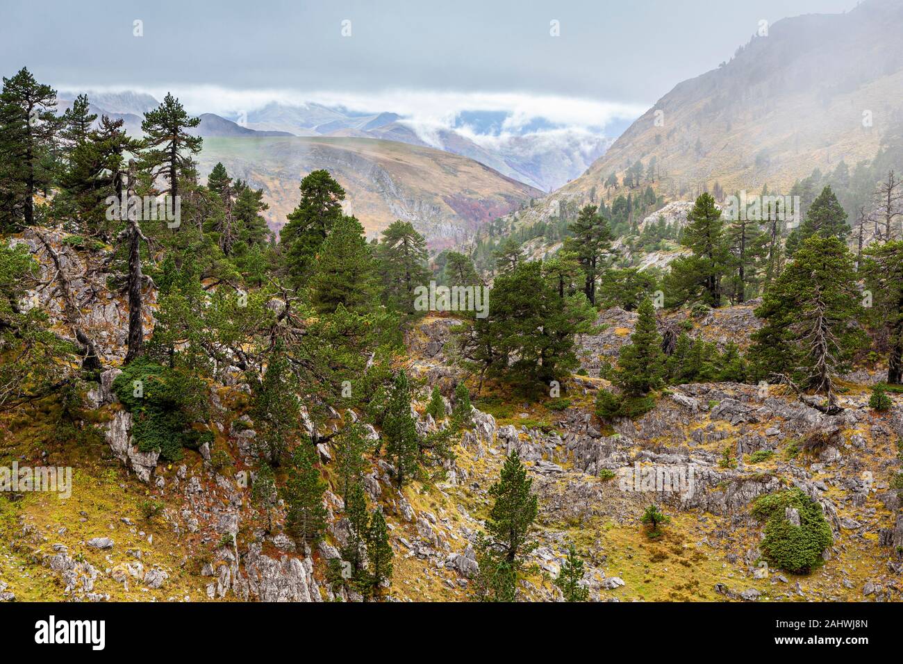 Valle de salazar hi-res stock photography and images - Alamy