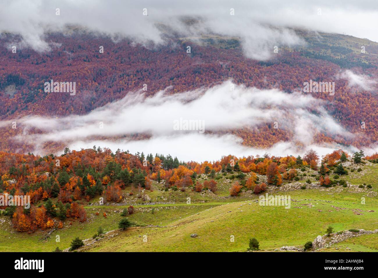 Valle del roncal hi-res stock photography and images - Alamy