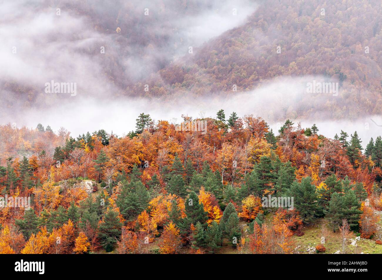 Valle del roncal hi-res stock photography and images - Alamy