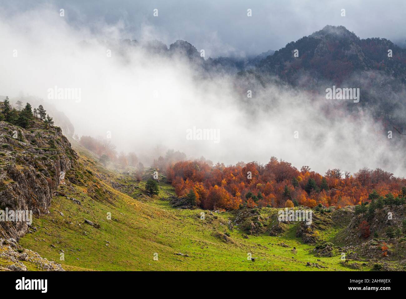 Roncal Valley in Navarra, Spain Stock Photo - Alamy