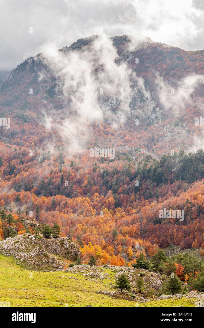 Roncal valley hi-res stock photography and images - Alamy