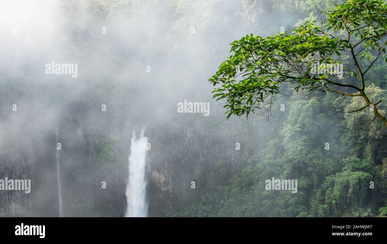 Catarata del Toro waterfall in Costa Rica Stock Photo - Alamy