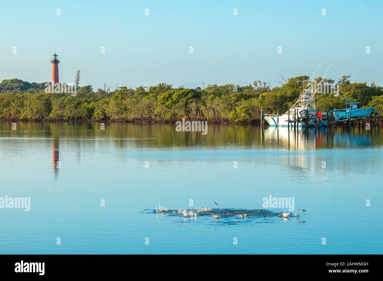 Fish jumping out of the water by Jupiter Inlet Lighthouse. Jupiter ...