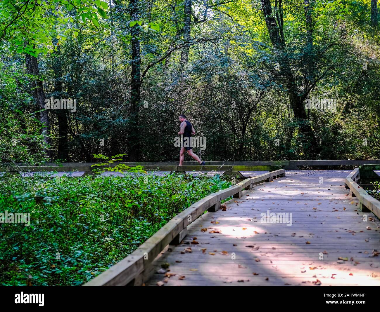 Running Past the Trail Stock Photo - Alamy