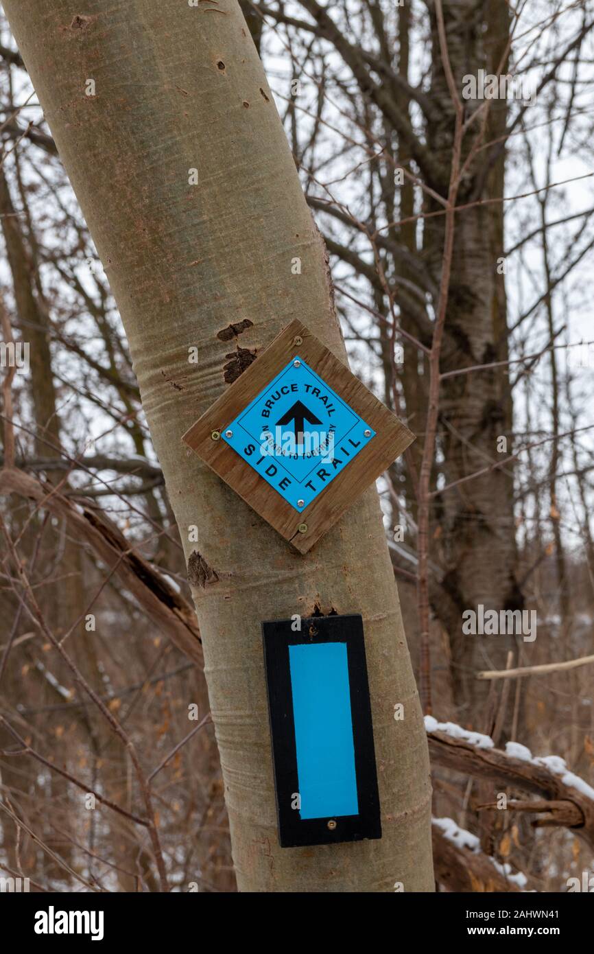 Blaze trail tree bark hi-res stock photography and images - Alamy