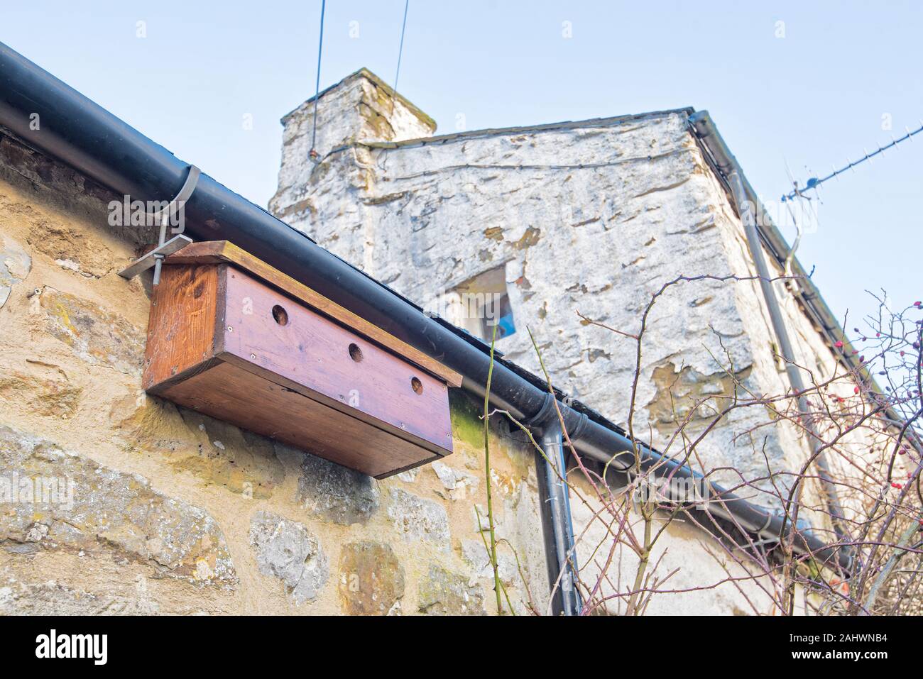 Sparrow colony terrace hi-res stock photography and images - Alamy
