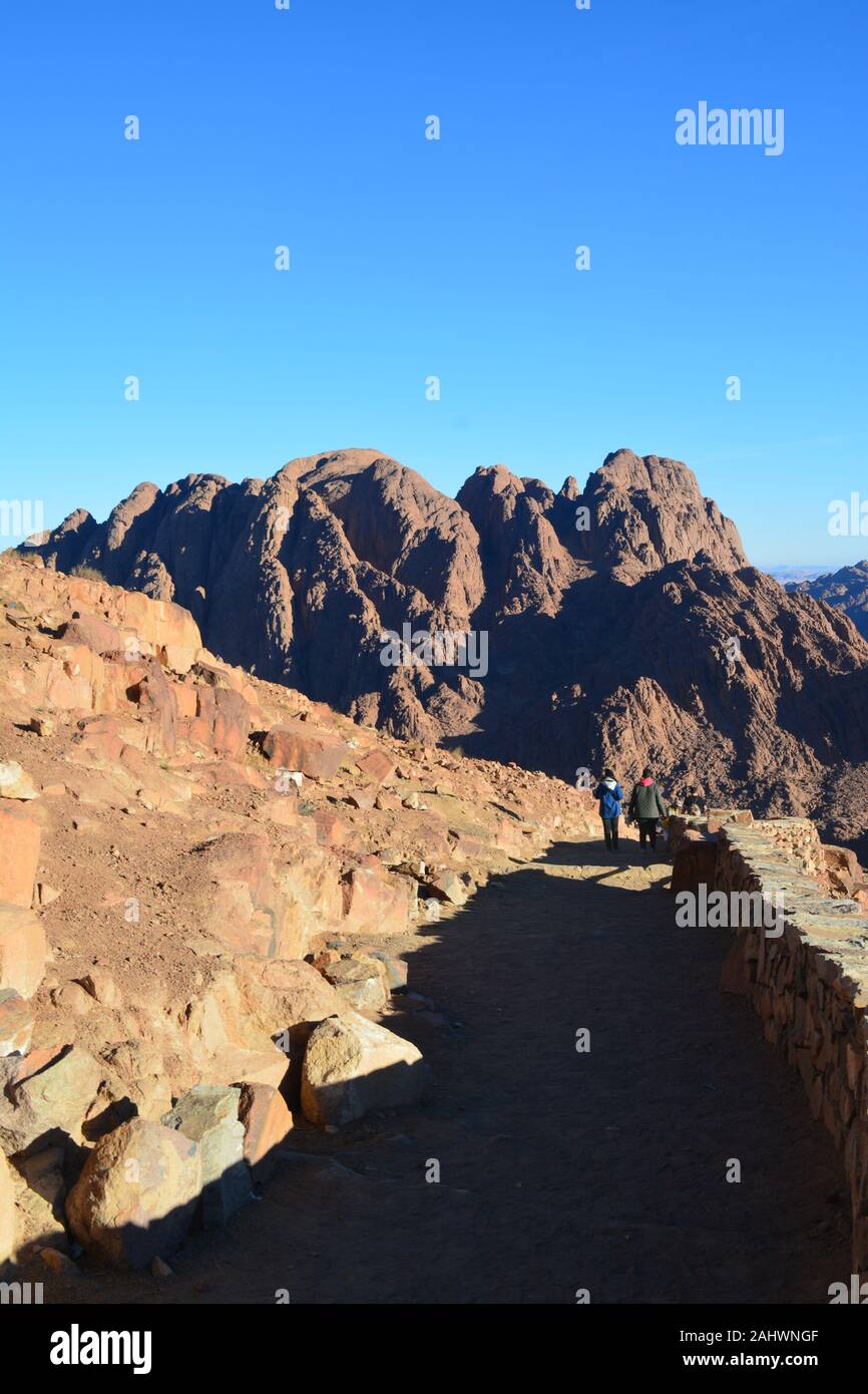 Egypt wildlife land hi-res stock photography and images - Alamy