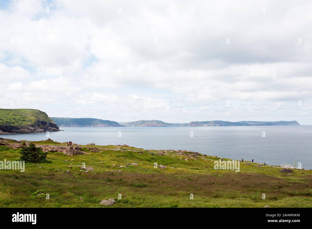 Coastline at the Avalon Peninsula in Newfoundland and Labrador, Canada ...