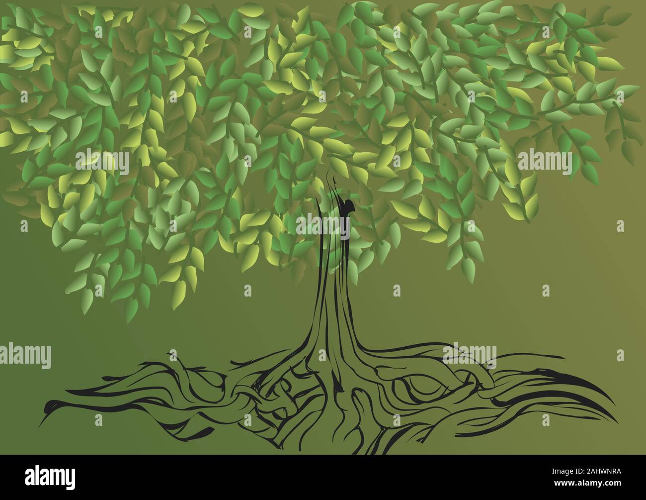 Tree root underground illustration Stock Vector Images - Alamy