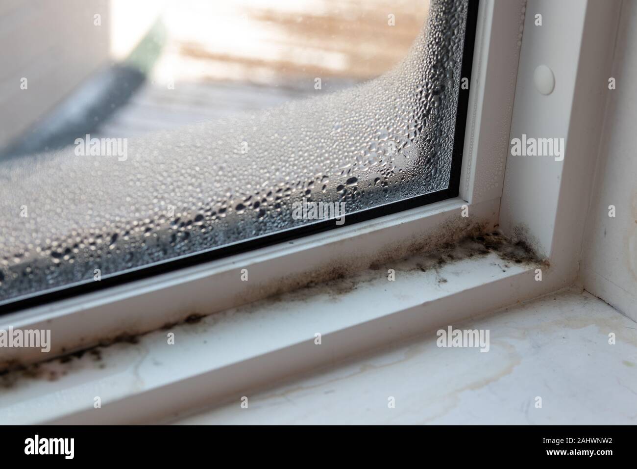 Mold fungus and moist in right corner of window frame and on glass ...