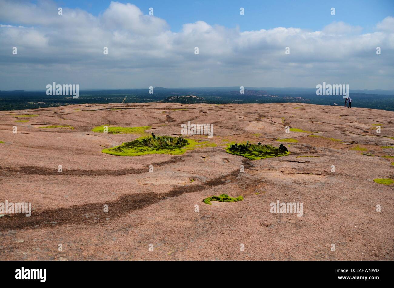 Enchanted rock vernal pools hi-res stock photography and images - Alamy