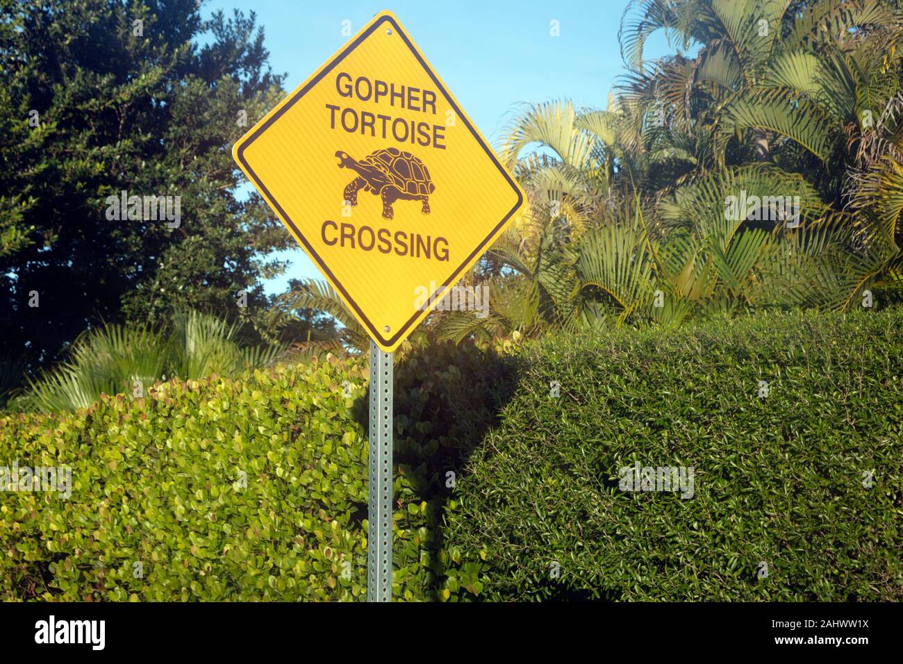 Turtle crossing sign hi-res stock photography and images - Alamy