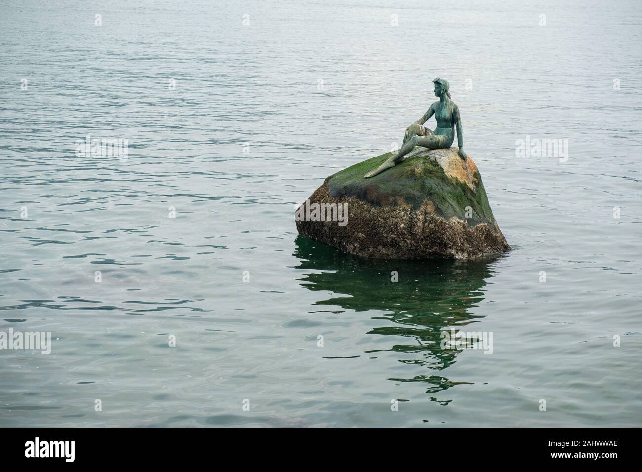Wet swim hi-res stock photography and images - Alamy