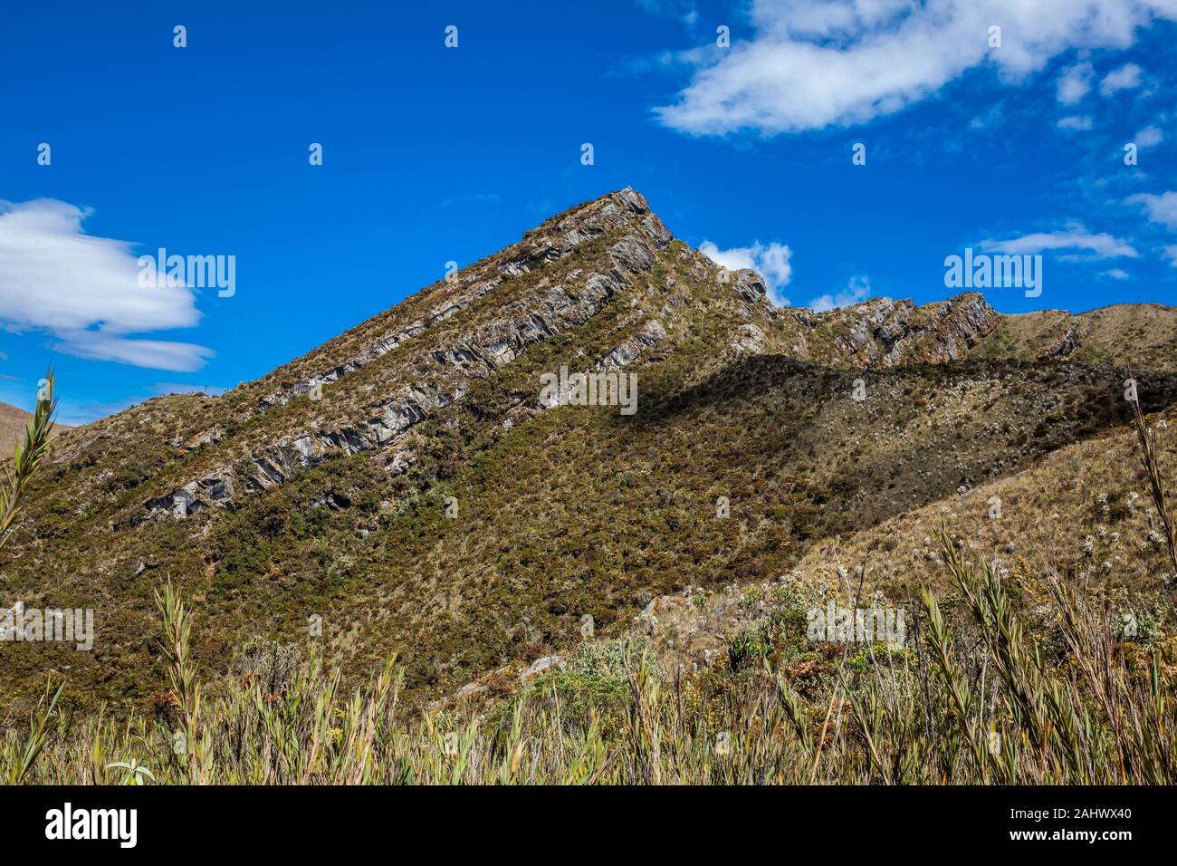 Beautiful landscape of Colombian Andean mountains showing paramo type ...
