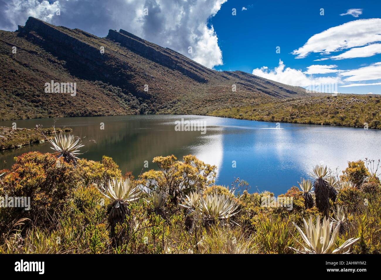Beautiful landscape of Colombian Andean mountains showing paramo type ...