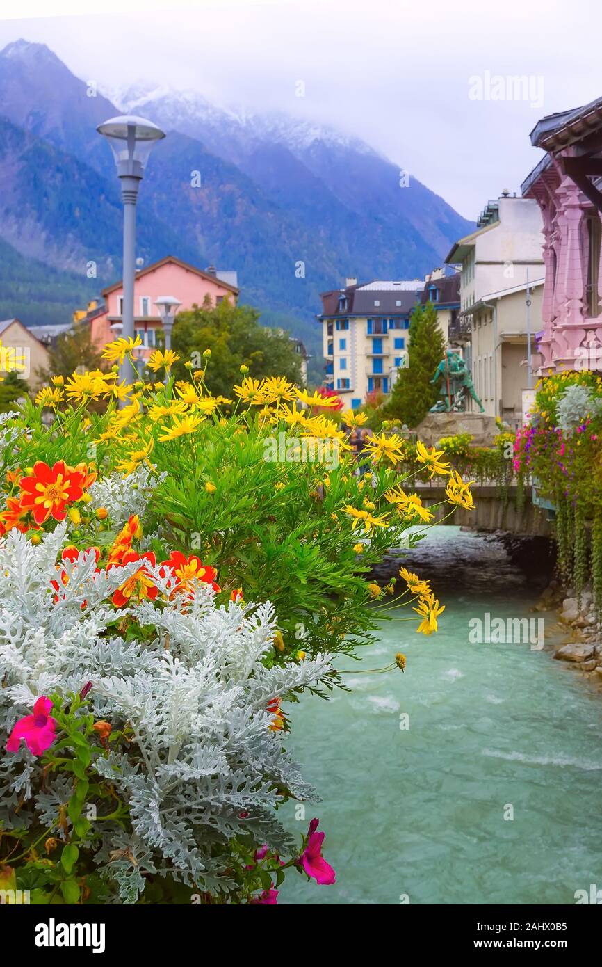 Chamonix Mont-Blanc, France close-up colorful flowers and defocused ...