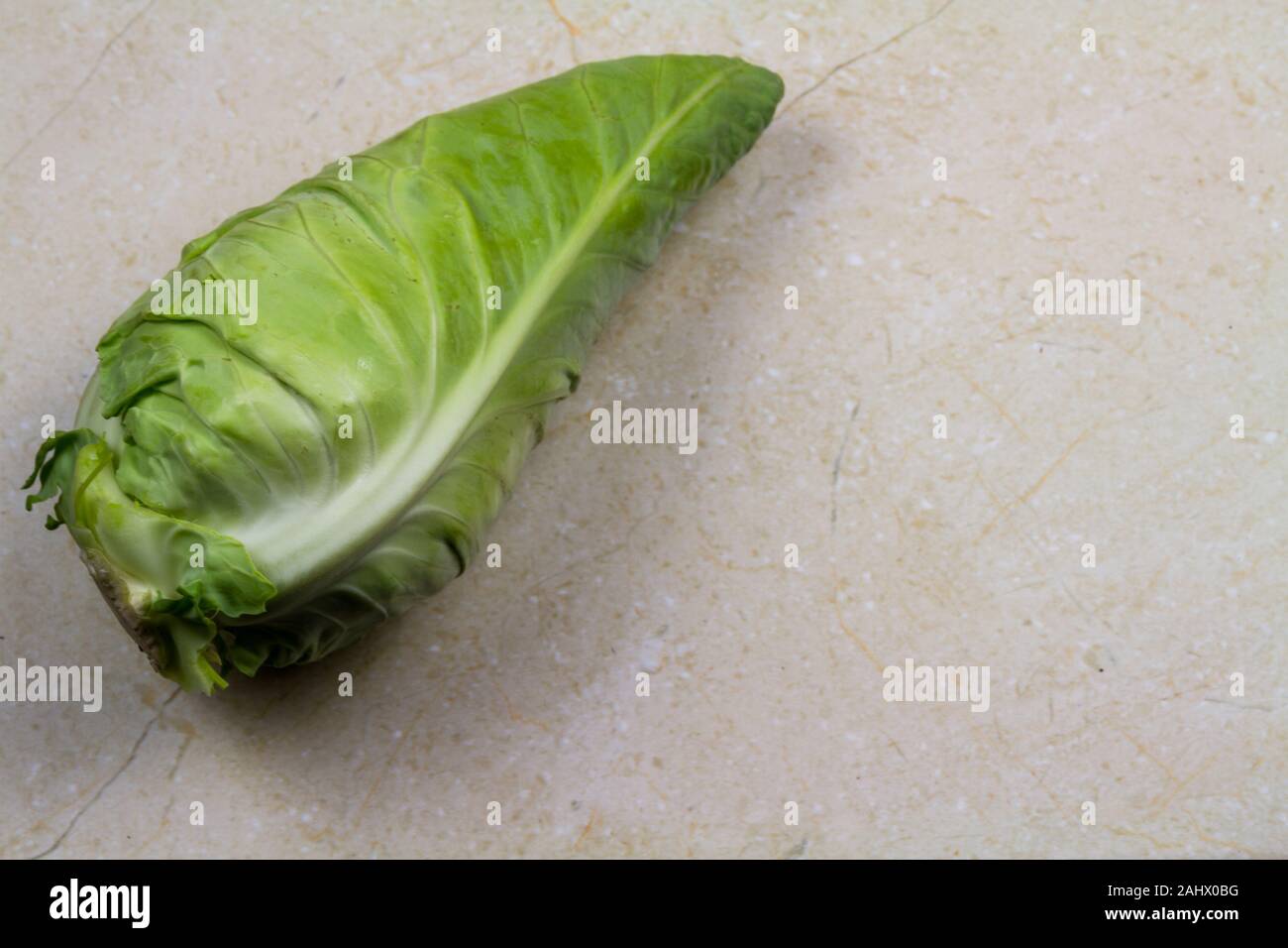 Single spring cabbage at an angle, green, copyspace on the right on ...