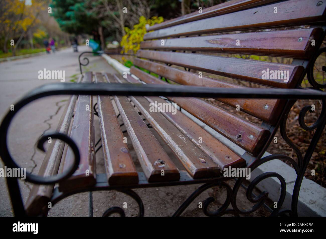 Blank Old bench in a shady area of the garden or the park,outdoor ...