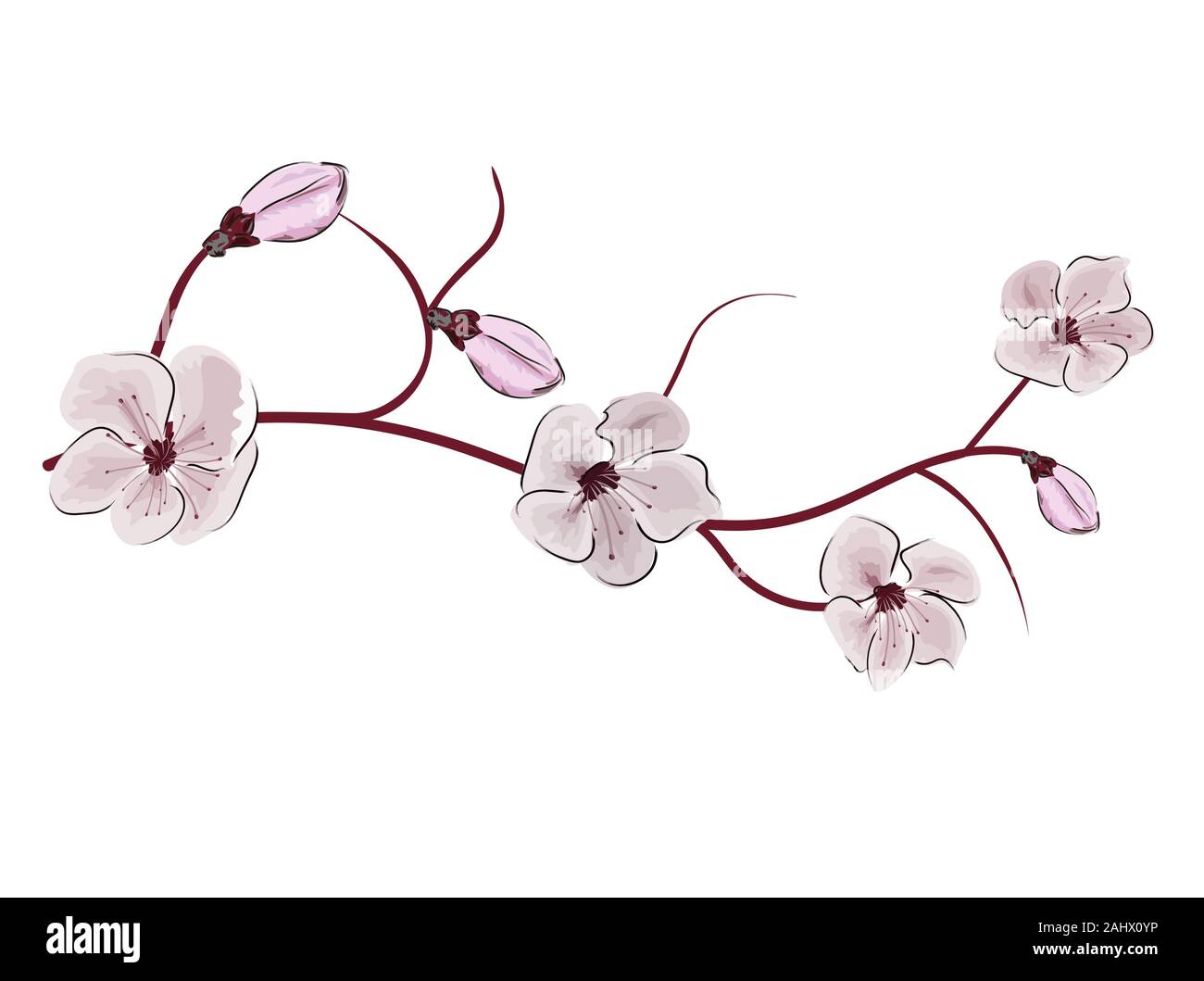 Chinese Cherry Blossom Tree Branch Drawing Pink Tree Branch In