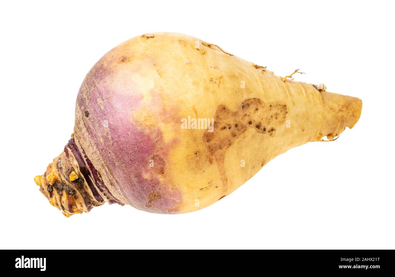 fresh rutabaga vegetable root cutout on white background Stock Photo ...