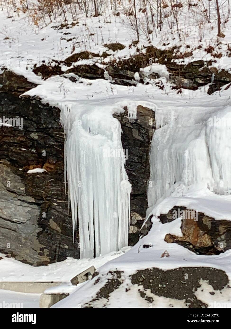 Winter scenes and landscape images with tall trees, ice, snow and view ...