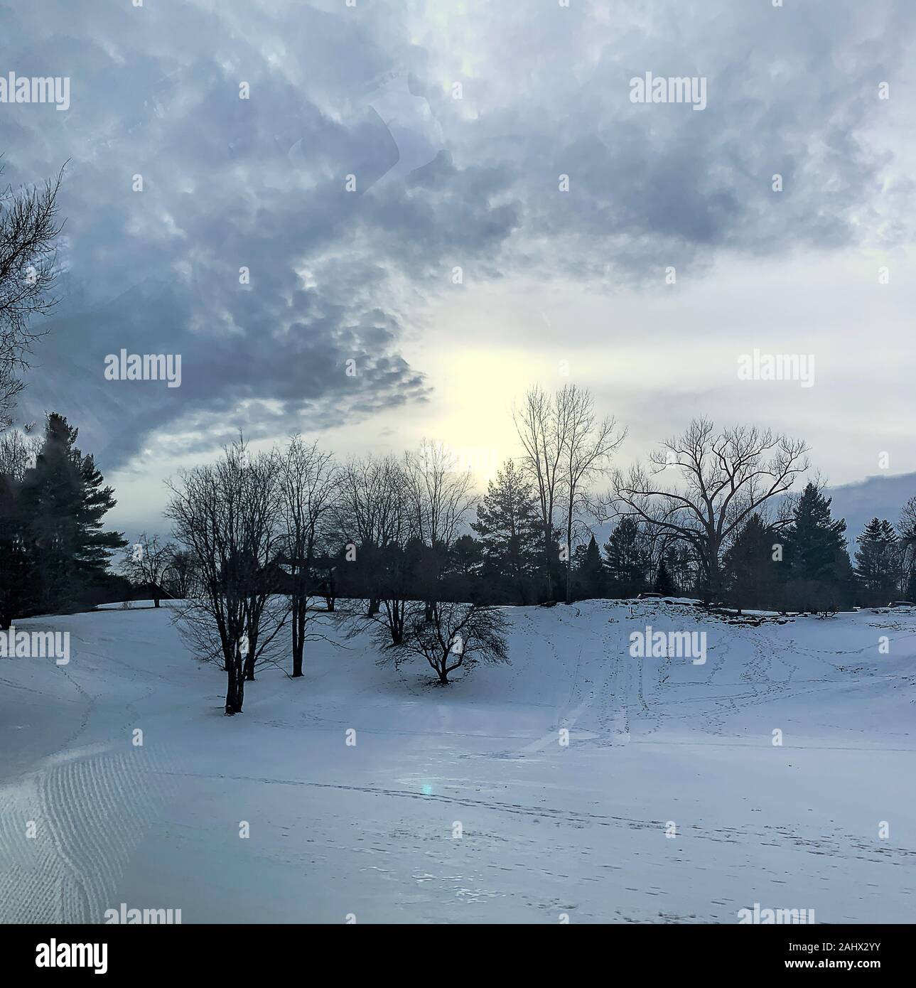 Winter scenes and landscape images with tall trees, ice, snow and view ...