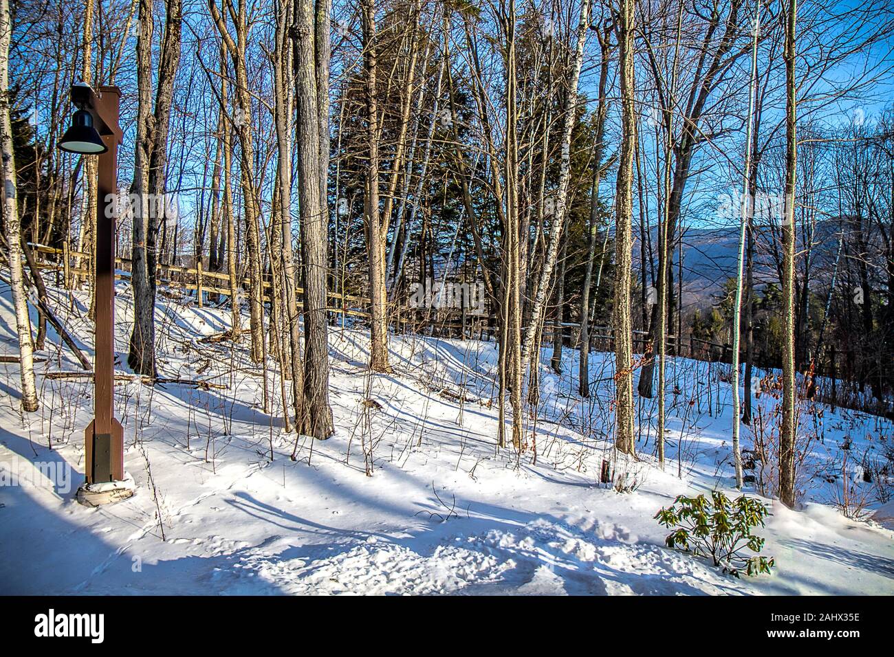 Winter scenes and landscape images with tall trees, ice, snow and view ...