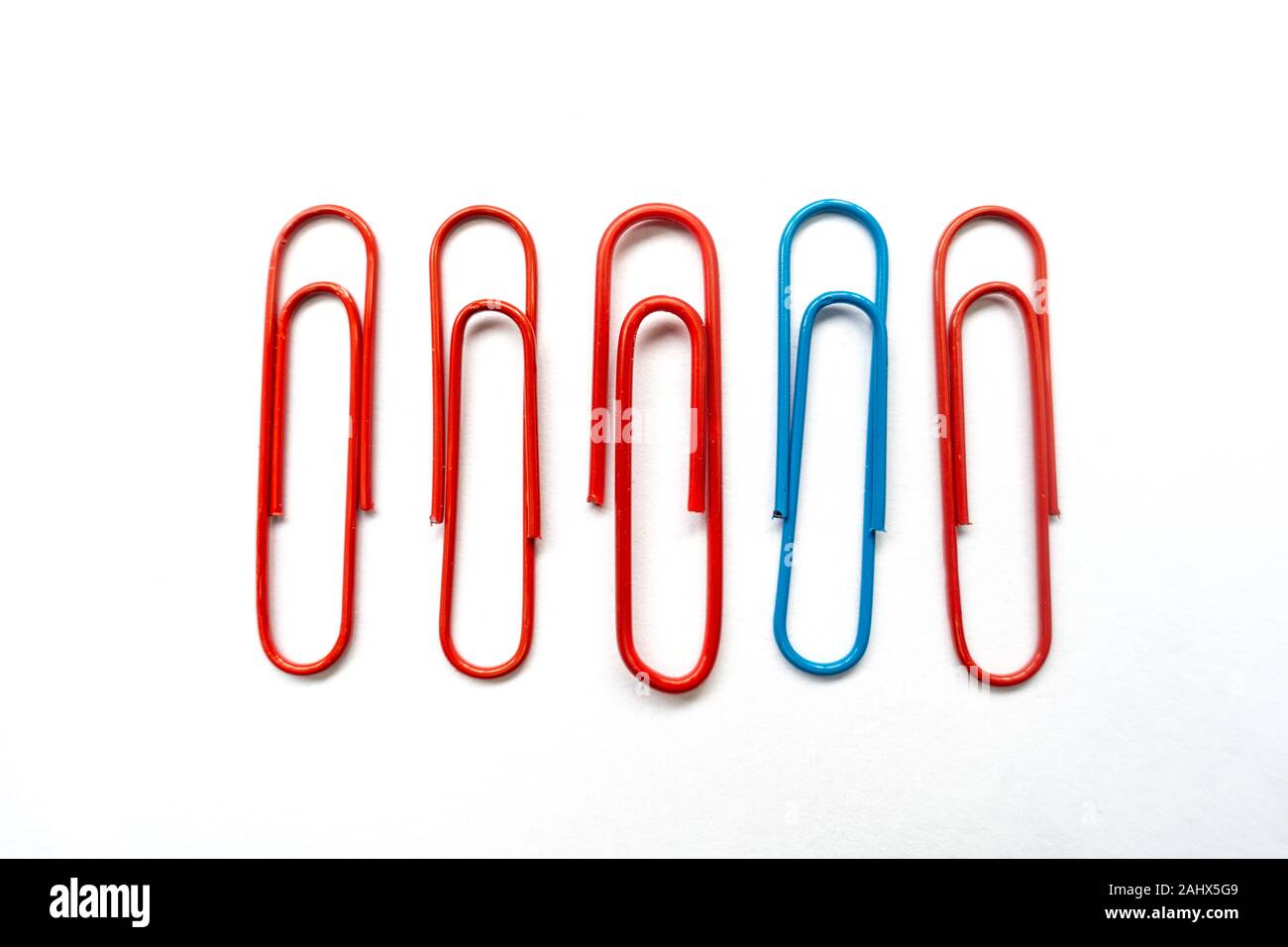 A blue paper clip amongst red paper clips stands out from the rest shot ...