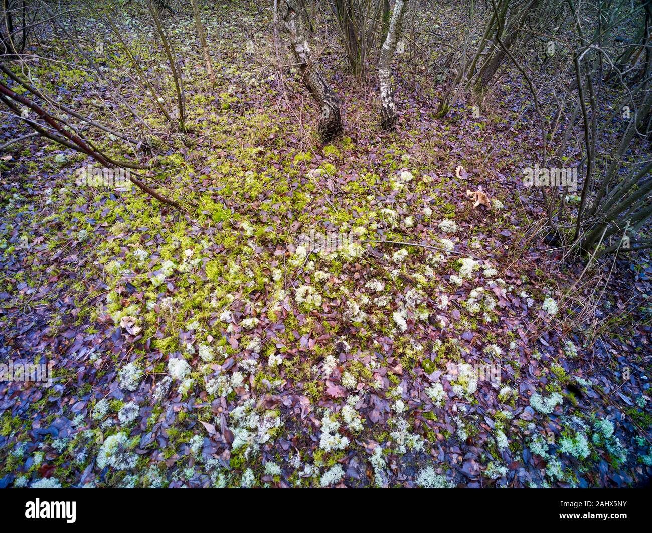 Armada beacon england hi-res stock photography and images - Alamy