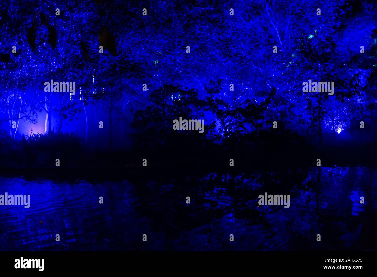 Enchanted forest of light - spooky night pond vista Stock Photo - Alamy