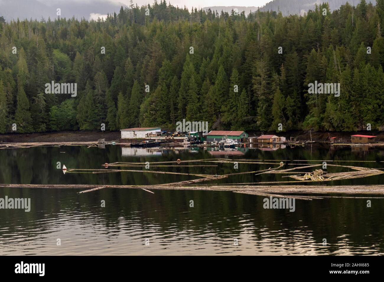 Logging camp canada hi-res stock photography and images - Alamy