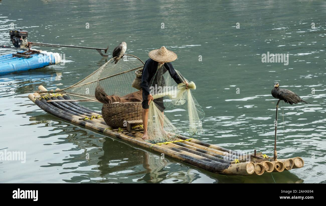Cormorant fisherman on bamboo raft demonstrating cast net technique, Li ...