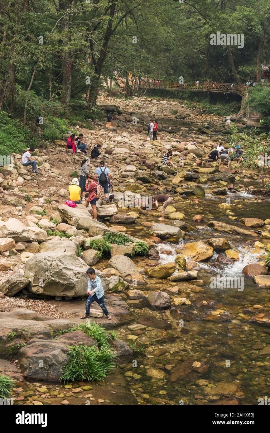 Tourist enjoying Golden Whip Stream, Zhangiajie National Park, Hunnan ...