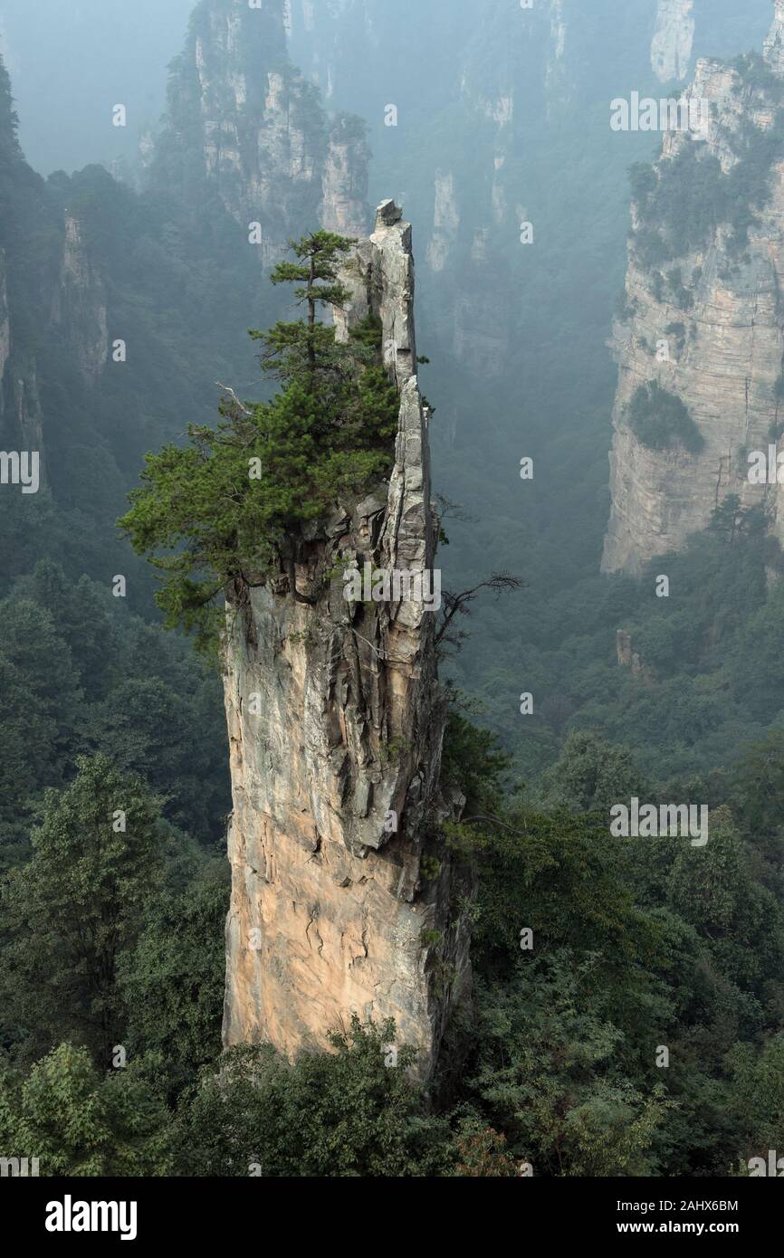 Quartzite sandstone pillars hi-res stock photography and images - Alamy