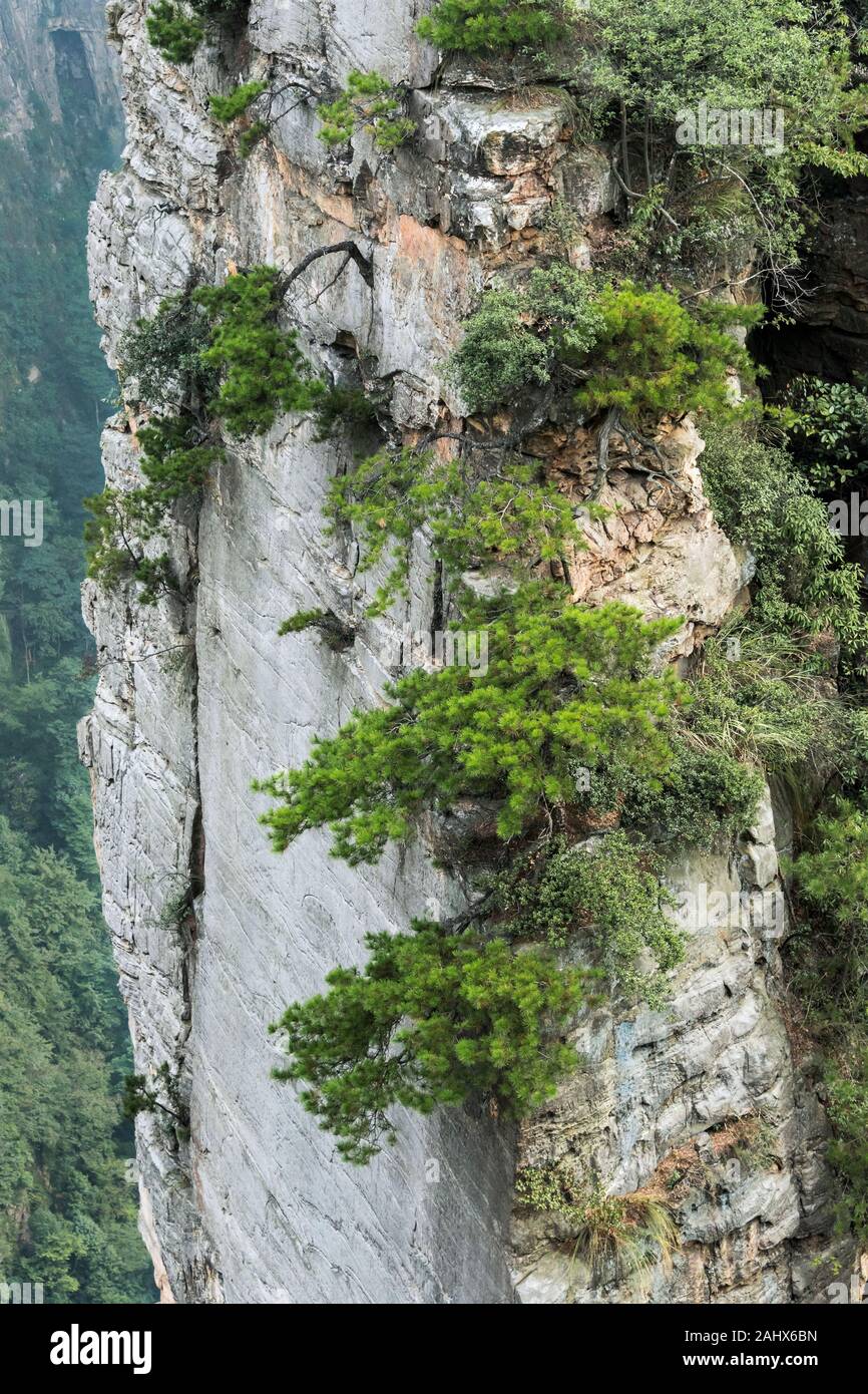 Tianzi Mountains