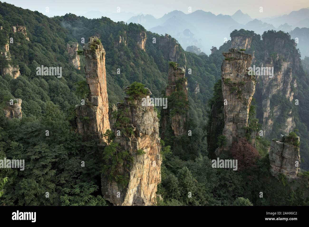 Zhangiajie National Park sandstone pillars and forest in the polluted ...