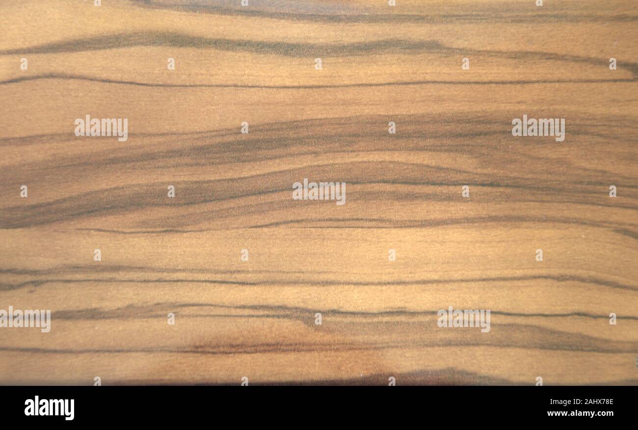 Natural walnut, polished wood surface coated with varnish. Background ...