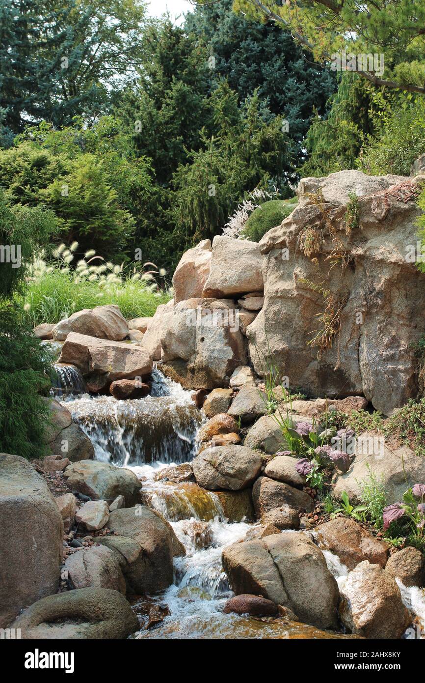 A series of small waterfalls tumbling over small boulders lined by ...