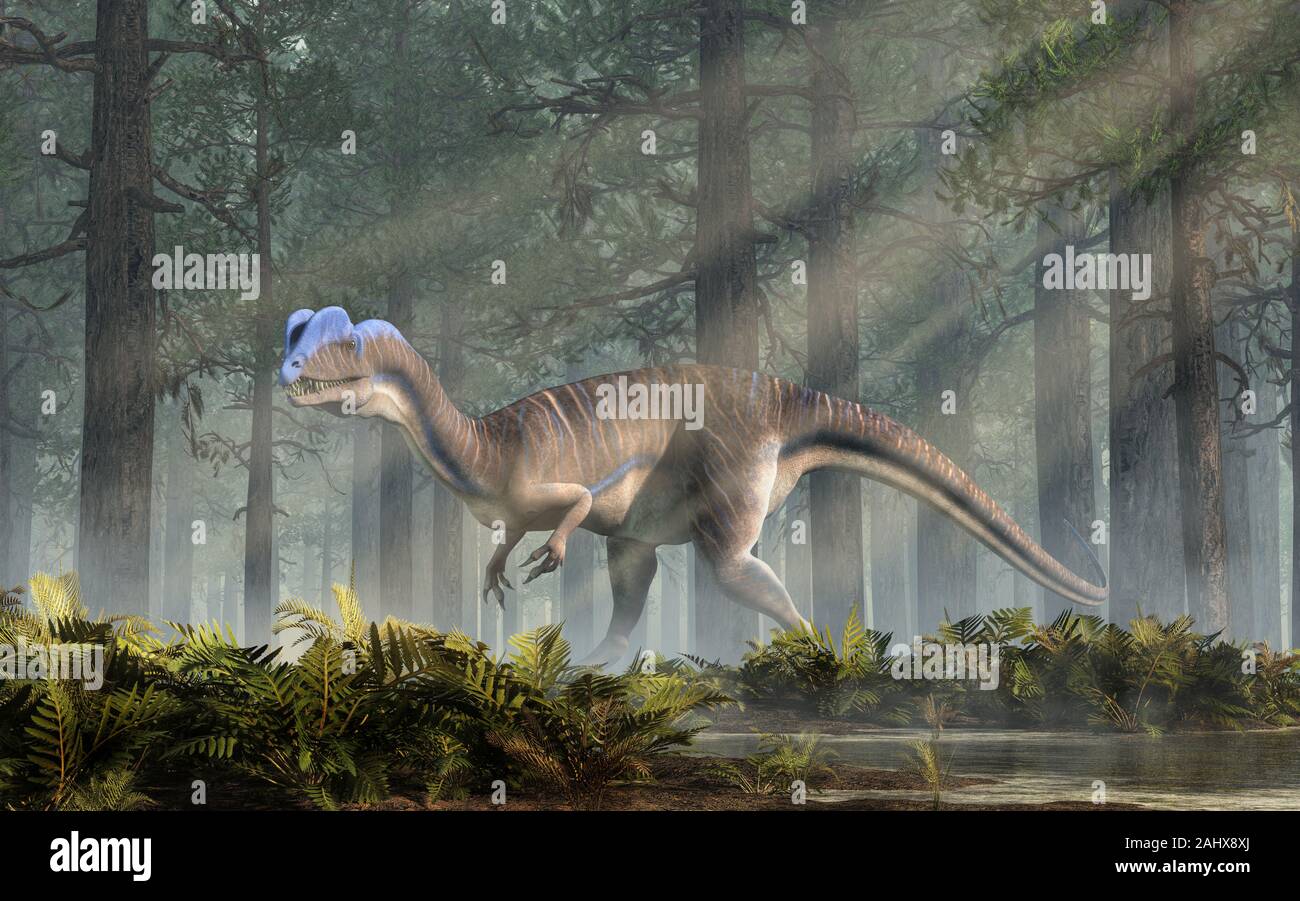 Early jurassic period hi-res stock photography and images - Alamy