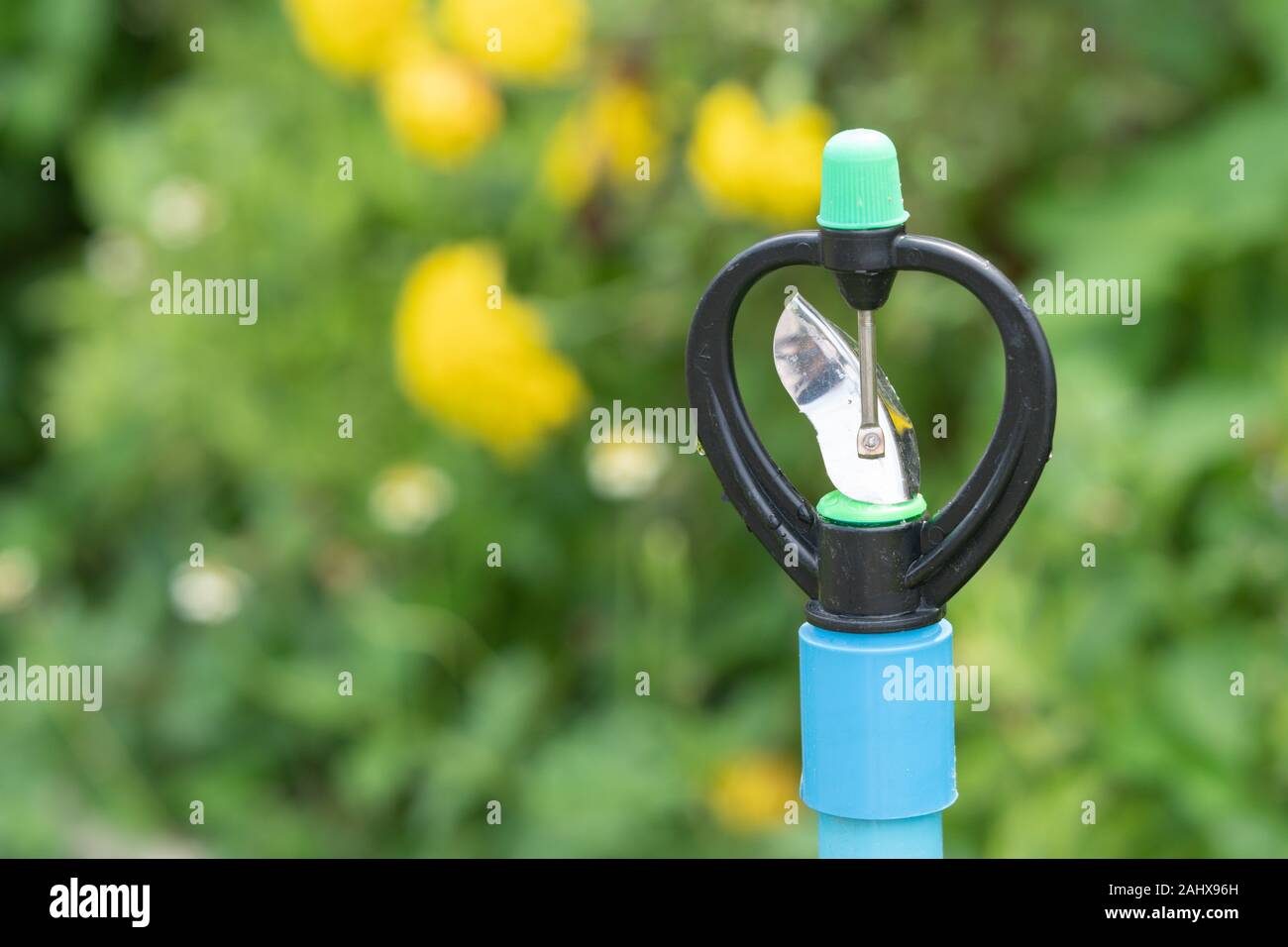 sprinkler watering tool in garden yellow flower and nature background ...