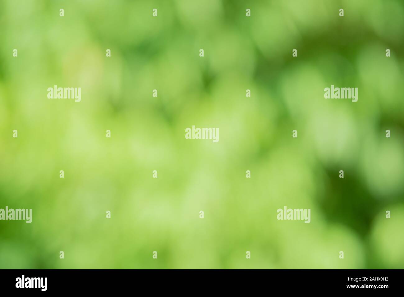 Natural green leaves background,blurred and defocused effect Stock ...