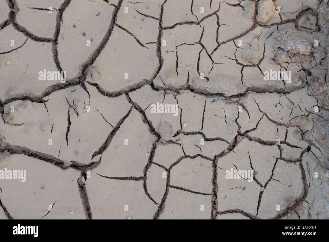 cracks in ground, texture background, no water without rain Stock Photo ...